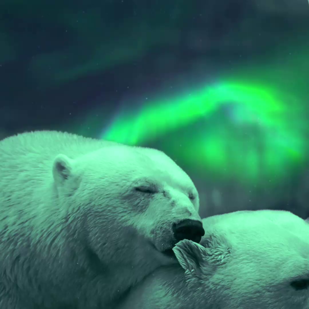 Northern Lights – Aurora Labs Blog